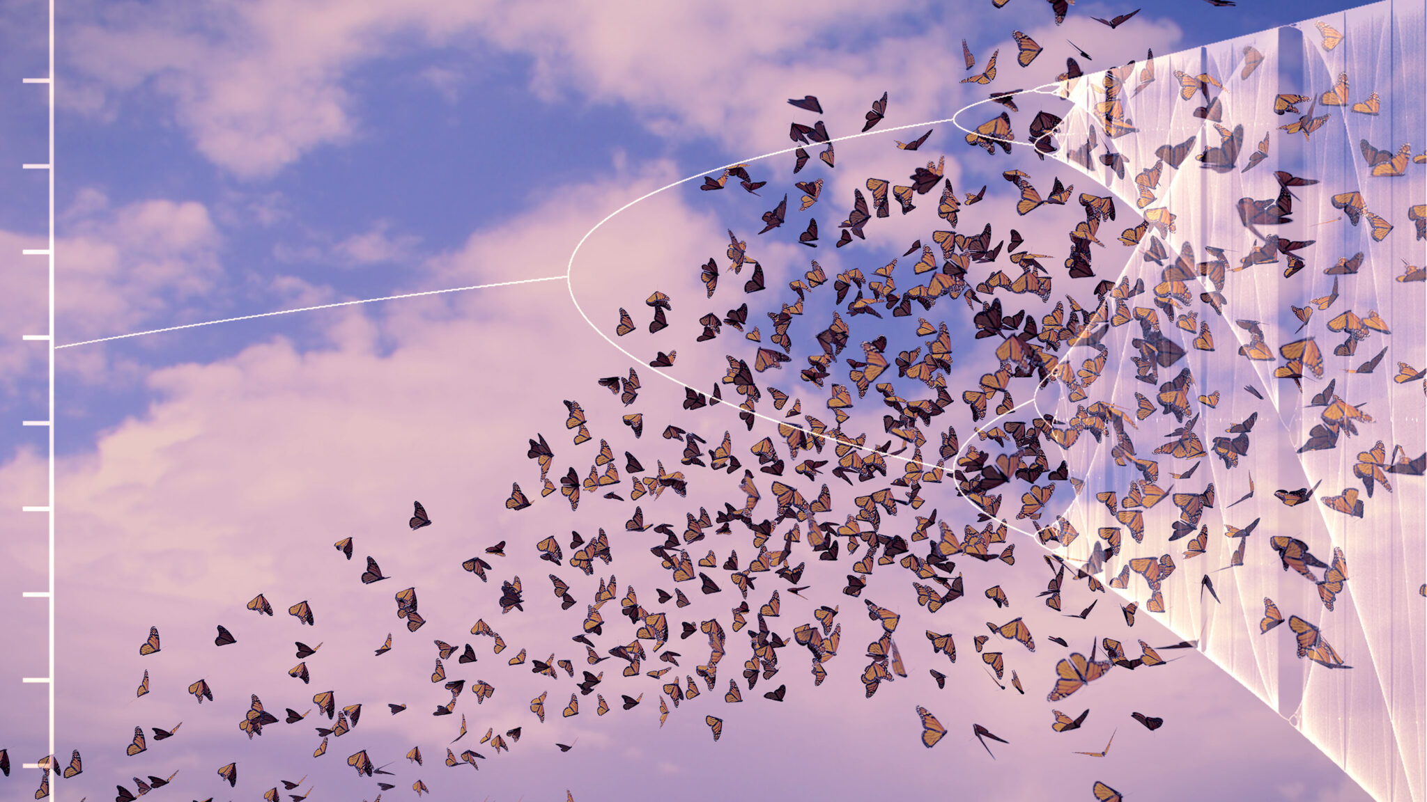 Hidden Chaos Found to Lurk in Ecosystems | Quanta Magazine
